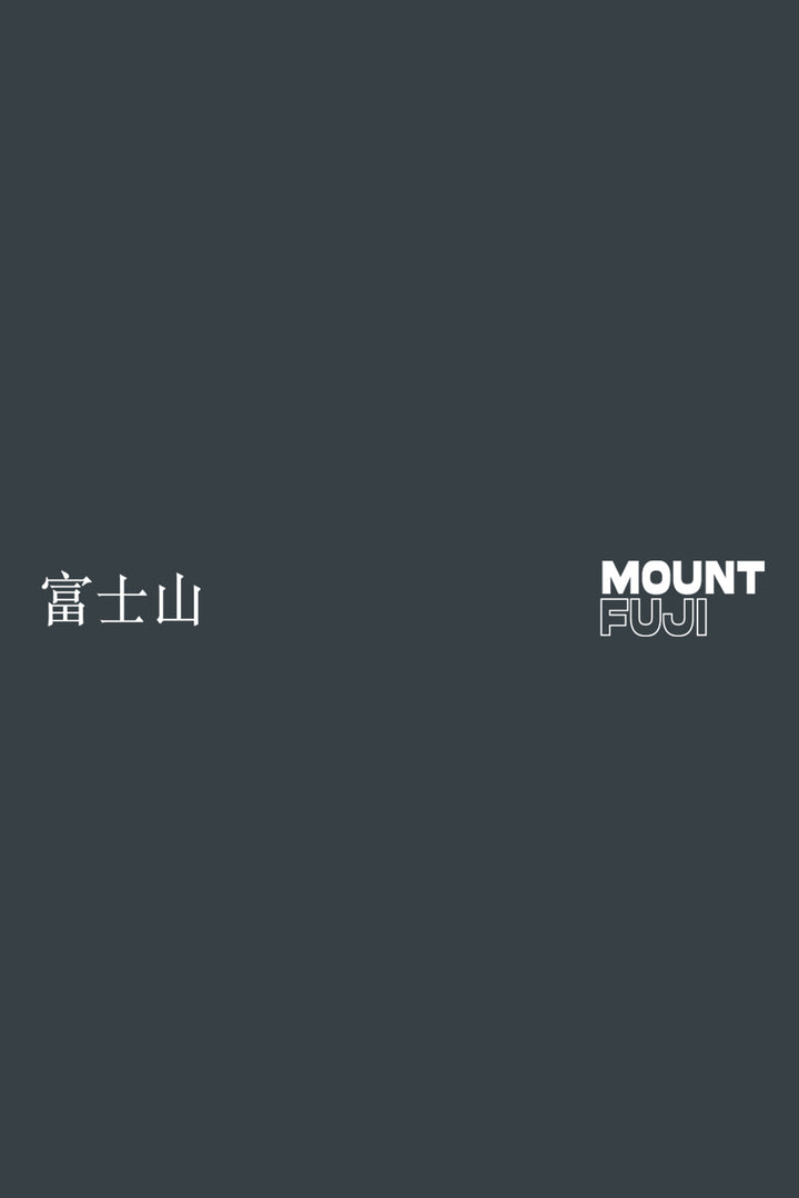 Mount Fuji Oversized Hoodie – Nobero